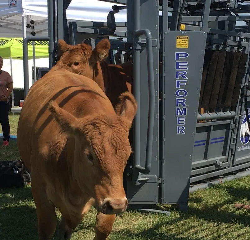 ragingbullranchequipment